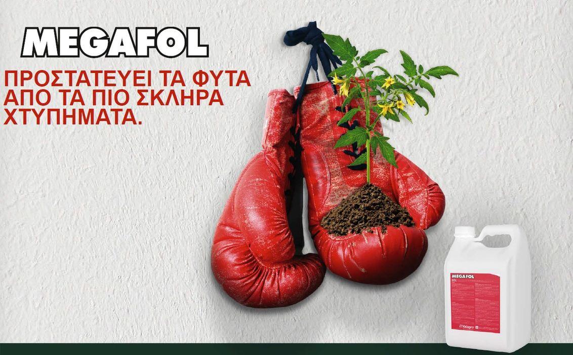 MEGAFOL - Βιοδιεγέρτης,Αβιοτικό στρες,Ποιοτικά και ποσοτικά ...